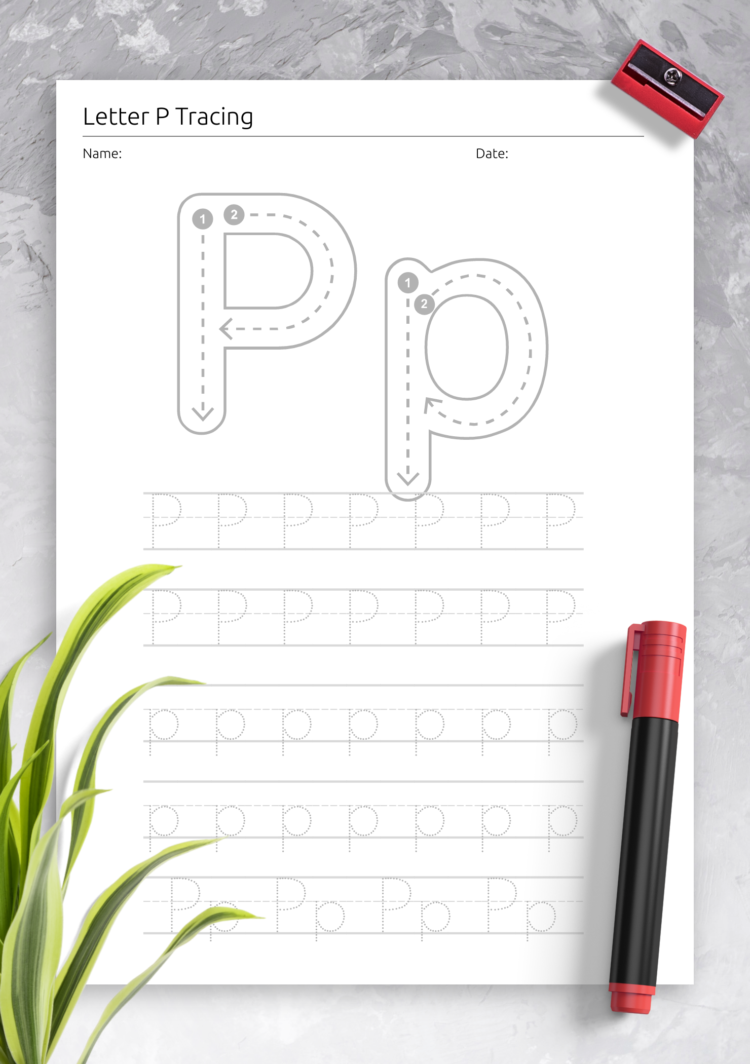 Download Letter P Trace for Kids Printable PDF