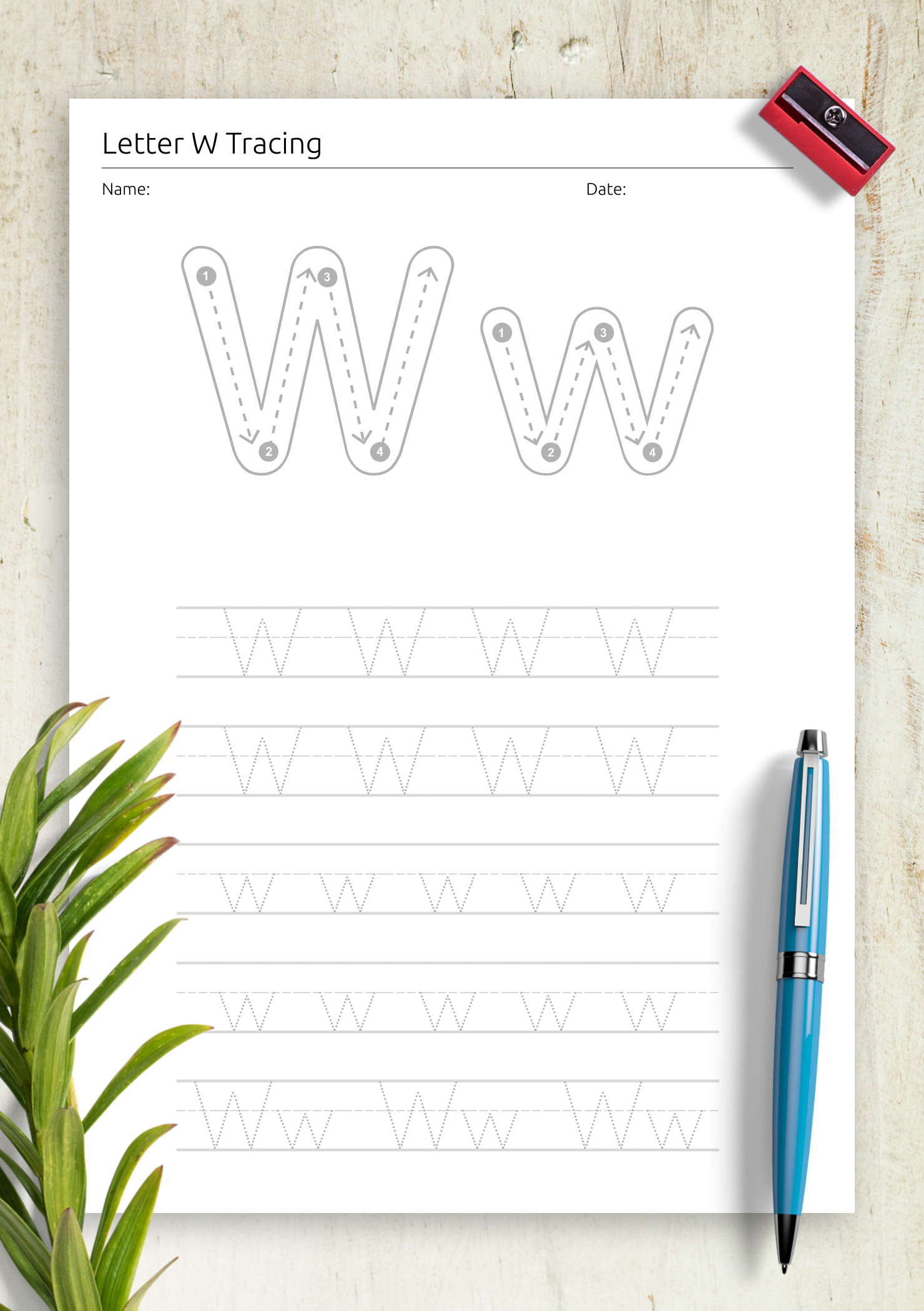 Download Letter W Trace for Kids Printable PDF