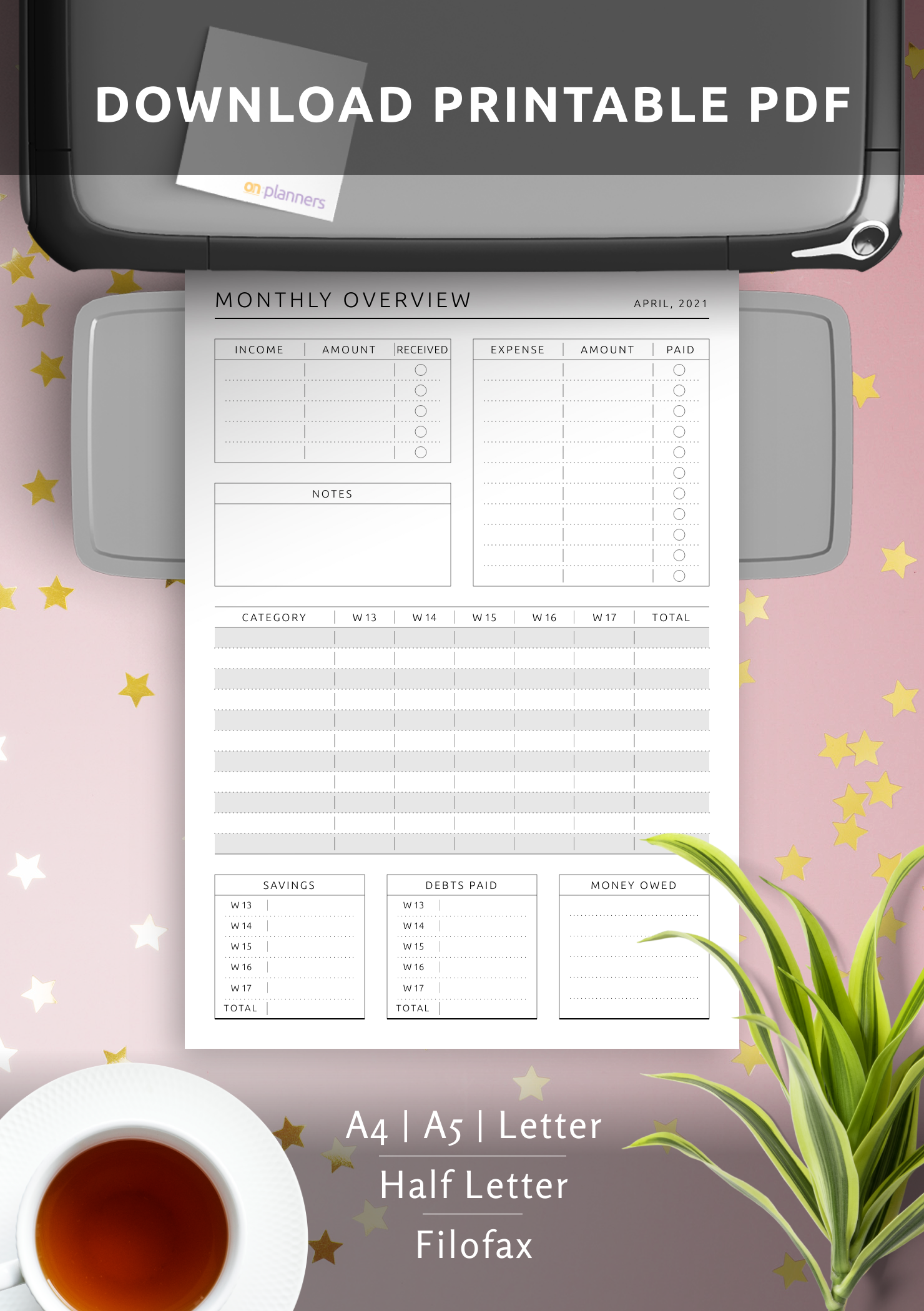 Download Printable Monthly Budget Overview Template PDF