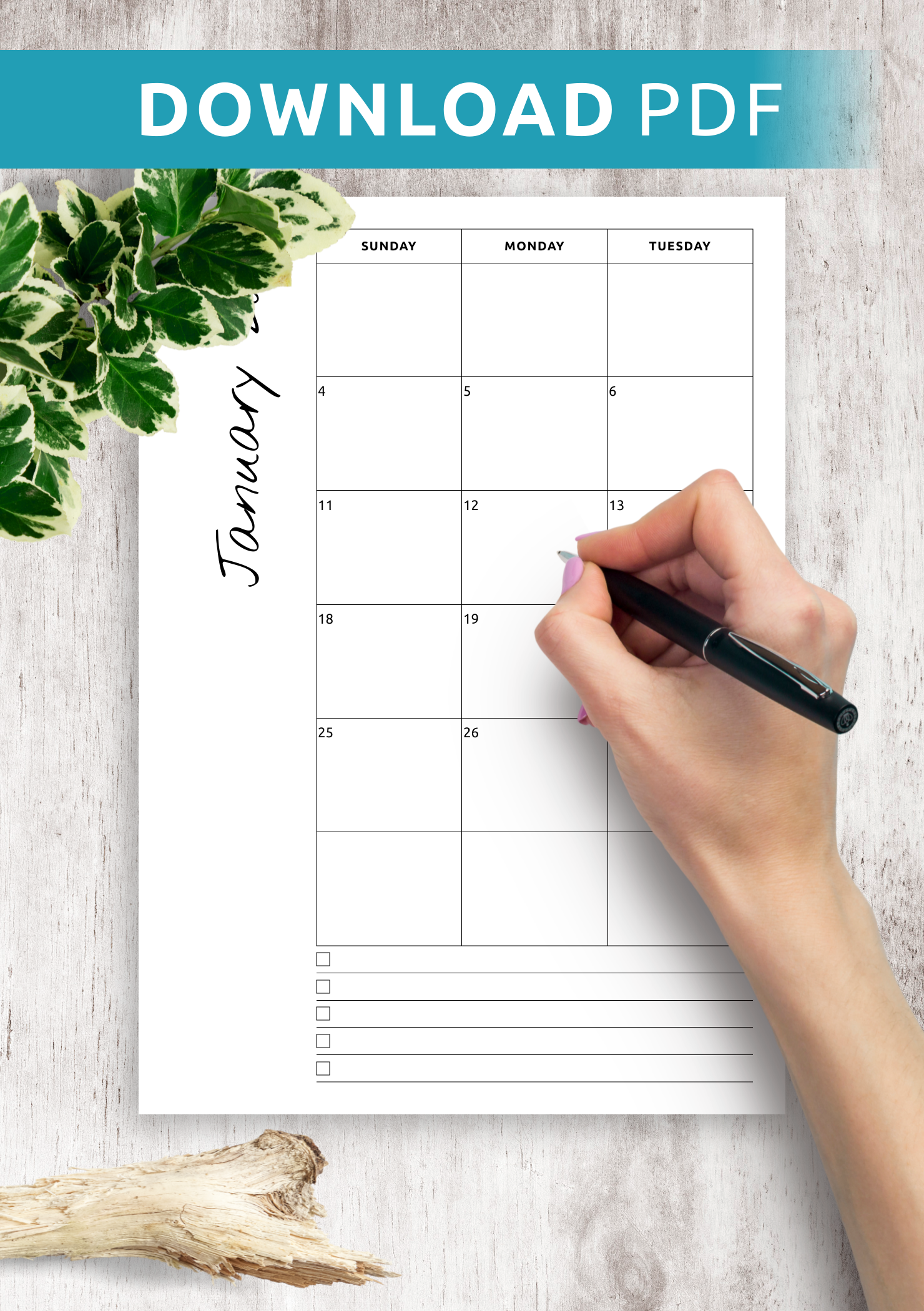 Download Printable Monthly calendar with notes PDF