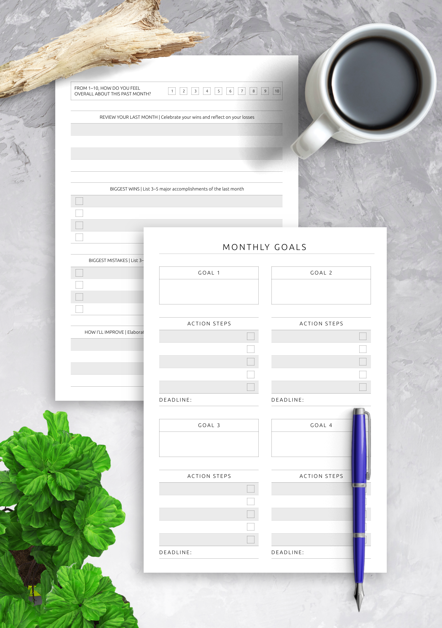 Download Printable Monthly Goals and Review Template PDF