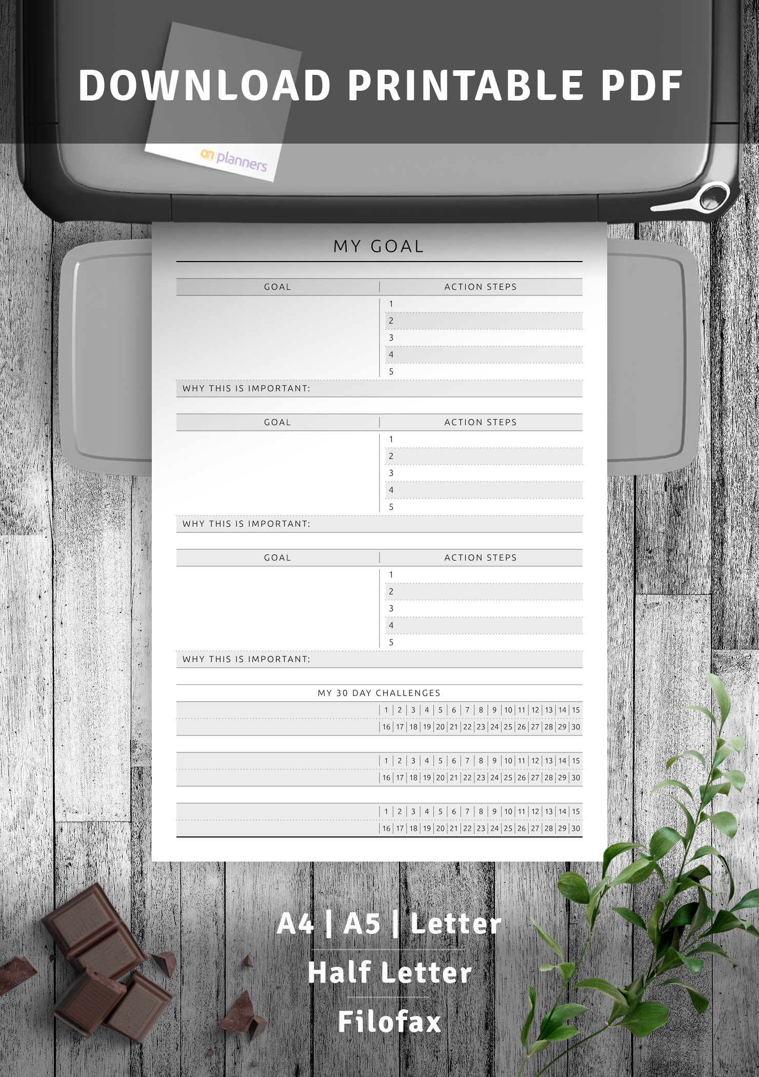 Download Printable My Goal & Action Steps PDF