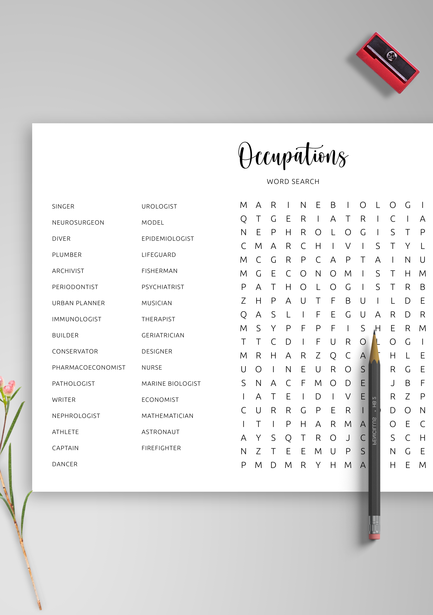 Download Printable Occupations Word Search in PDF