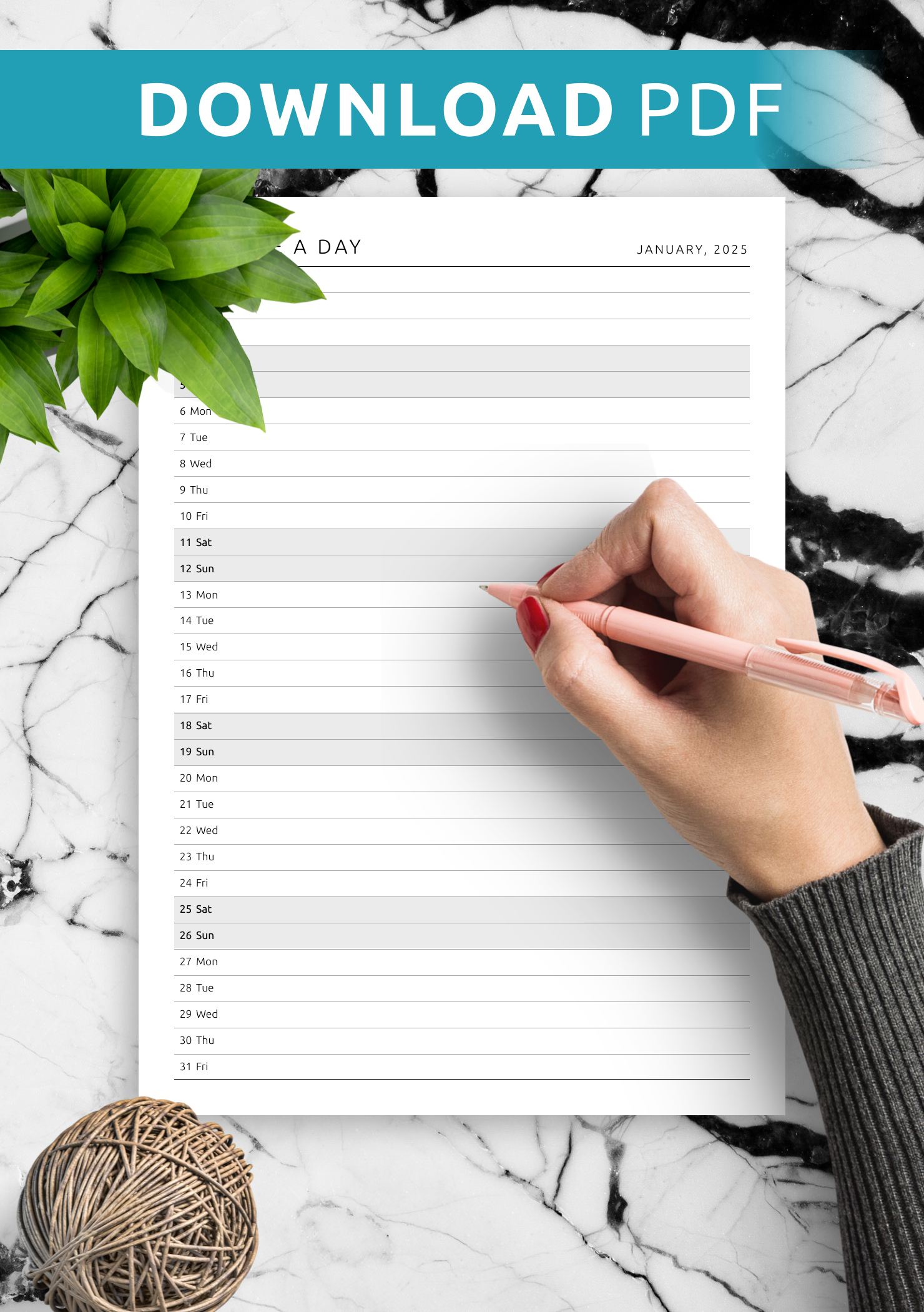 Download Printable One Line a Day Monthly Planner Template PDF