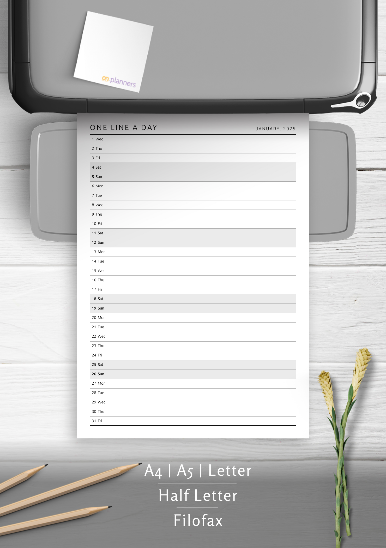 Download Printable One Line A Day Monthly Planner Template PDF