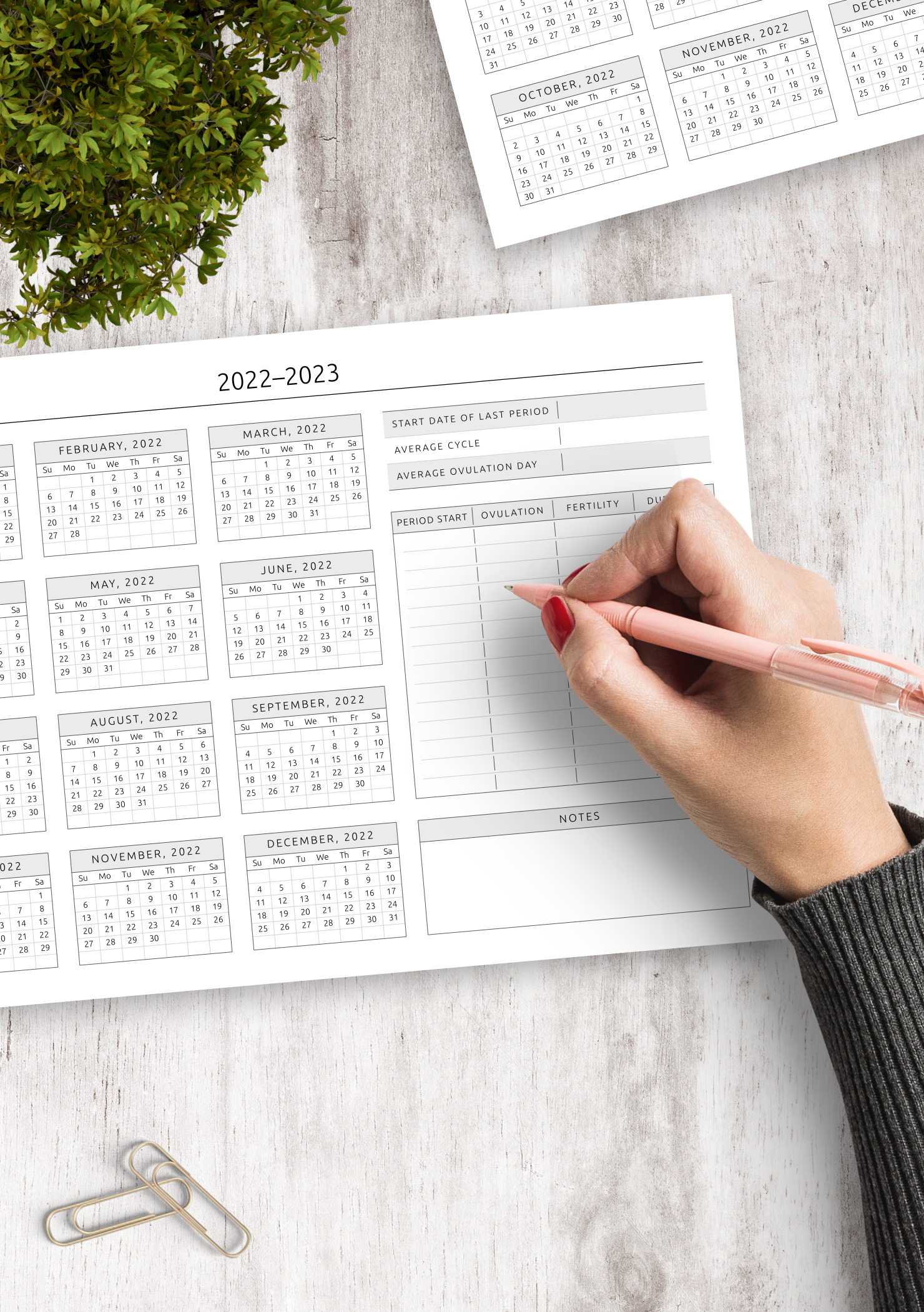 Ovulation Calendar Template PDF for Fertility Tracking