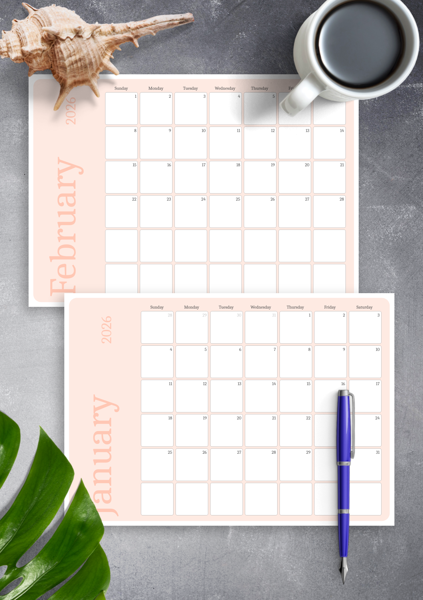 Download Printable Pink Monthly Calendar PDF