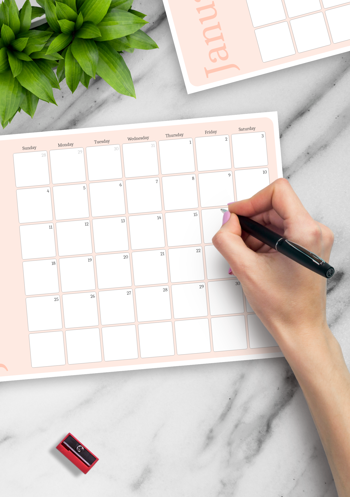 Download Printable Pink Monthly Calendar PDF
