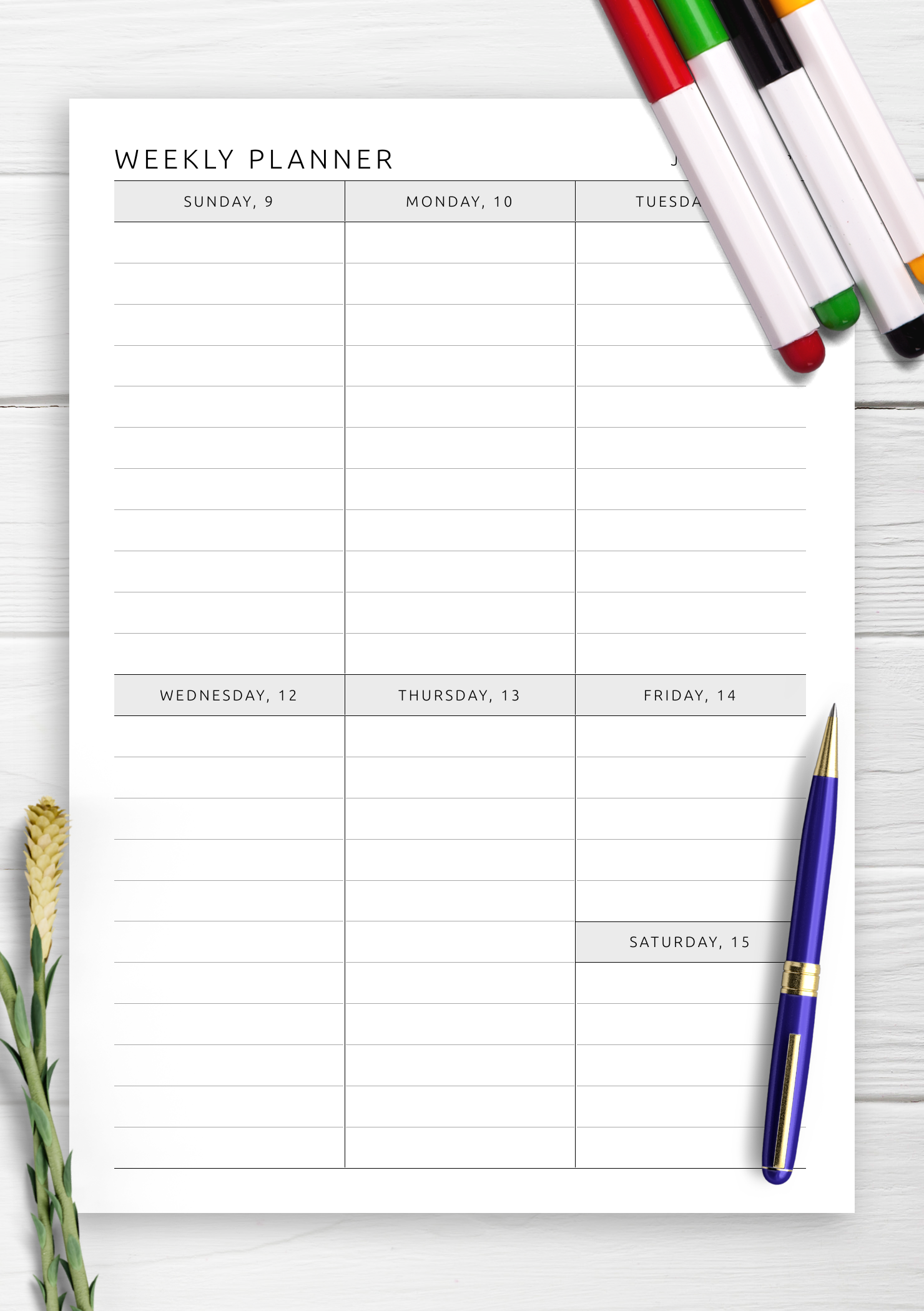 Download Printable Simple Monochrome One-Page Weekly Schedule PDF