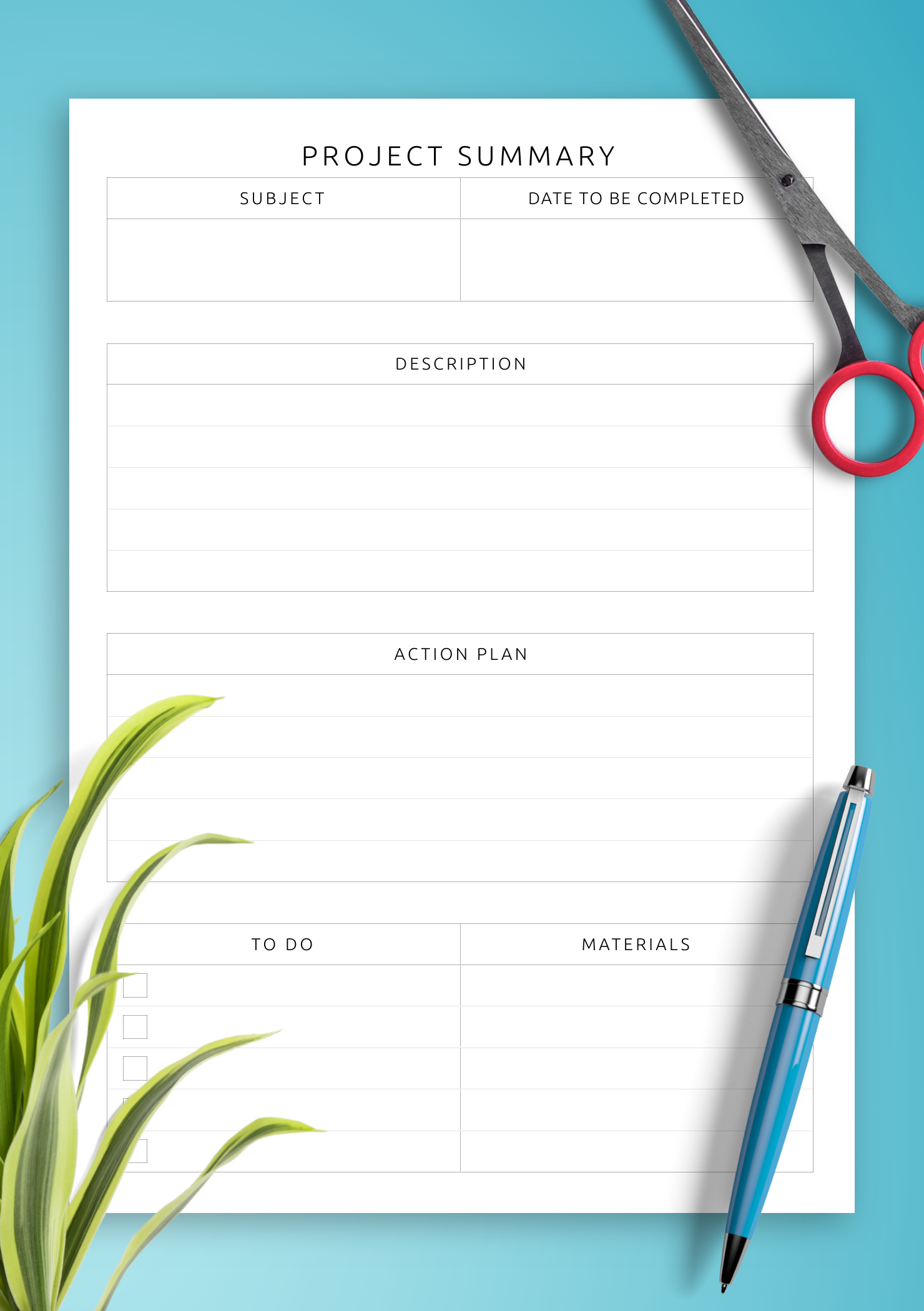 Download Printable Student Project Summary Template PDF