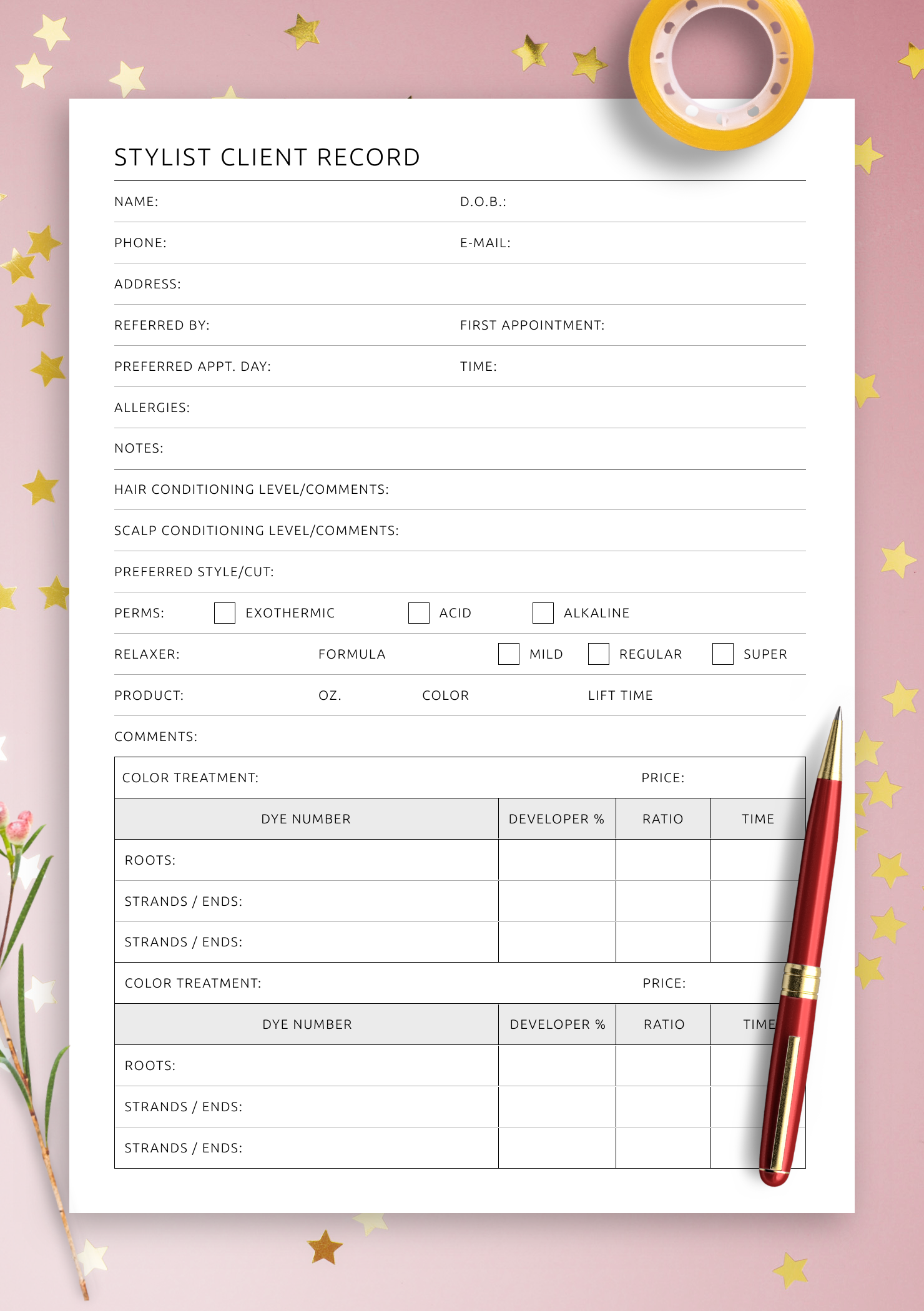 Download Printable Stylist Client Record PDF