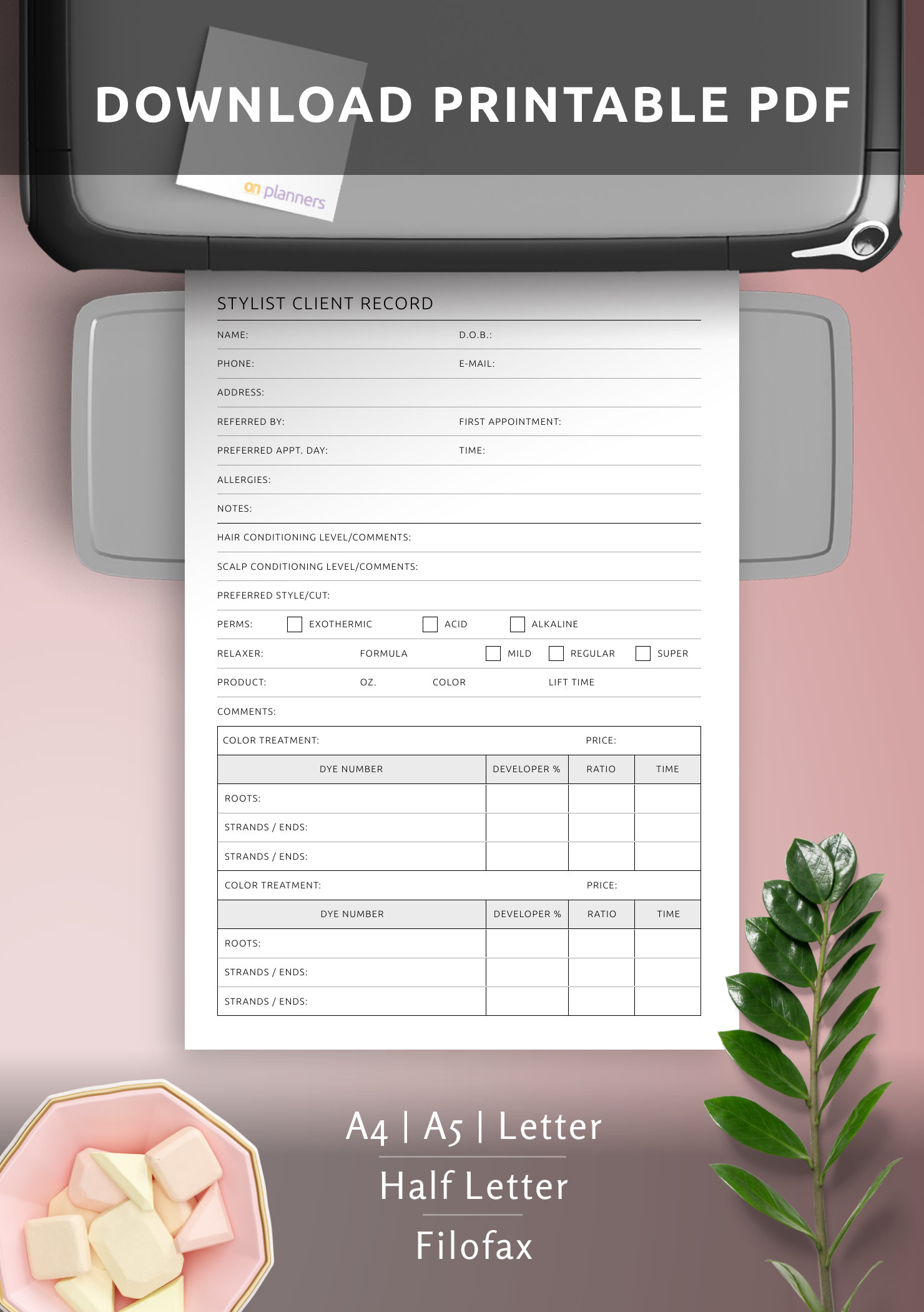 Download Printable Stylist Client Record PDF