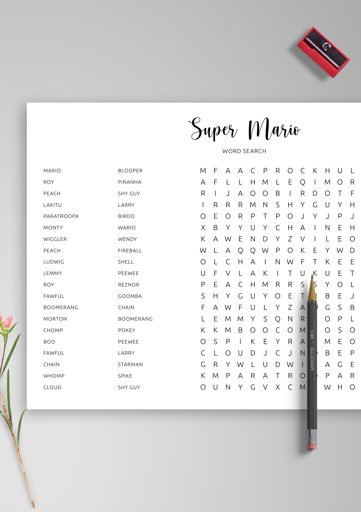 Download Printable Super Mario Word Search in PDF