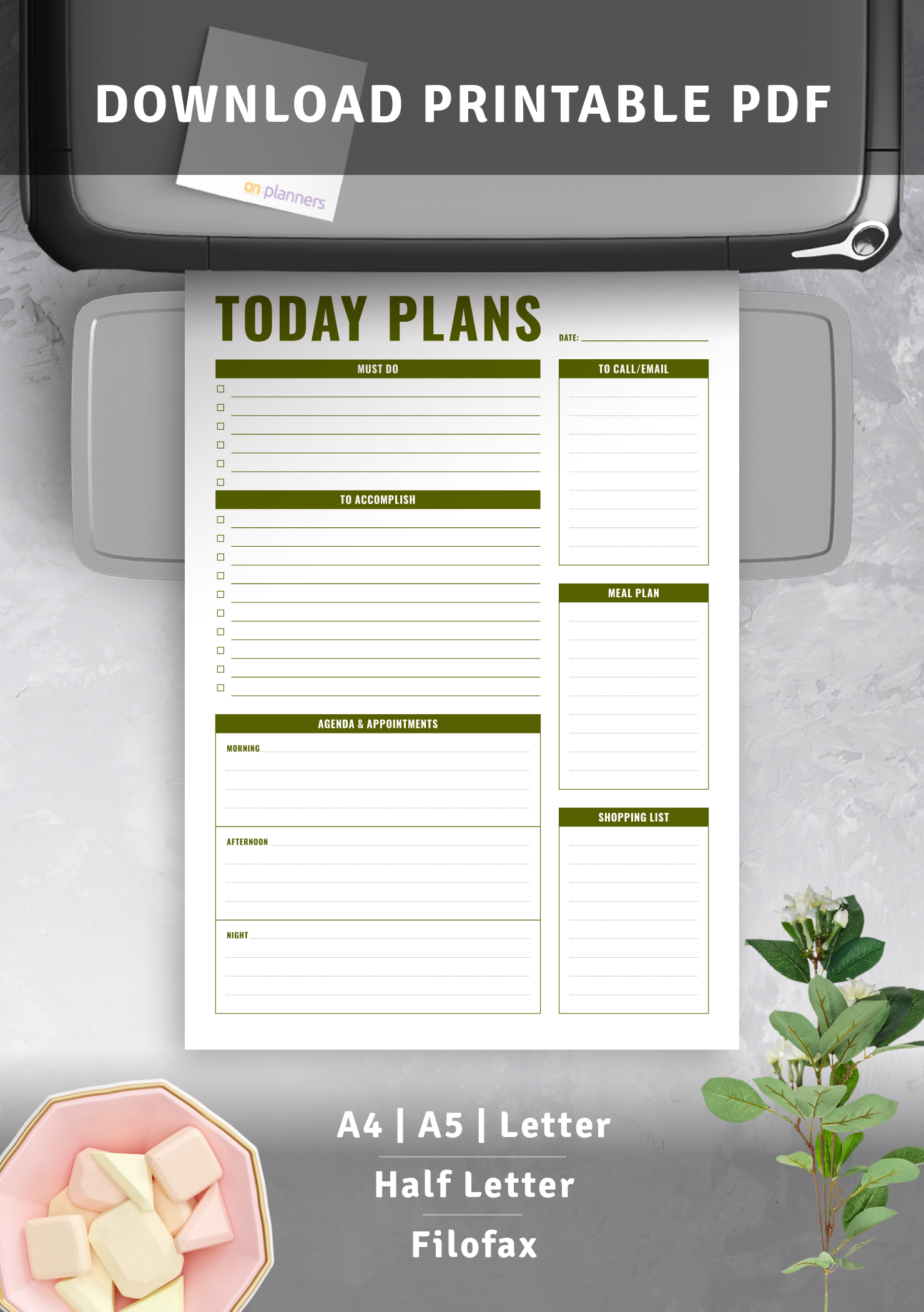 Download Printable Today Plans with Agenda & Appointments PDF