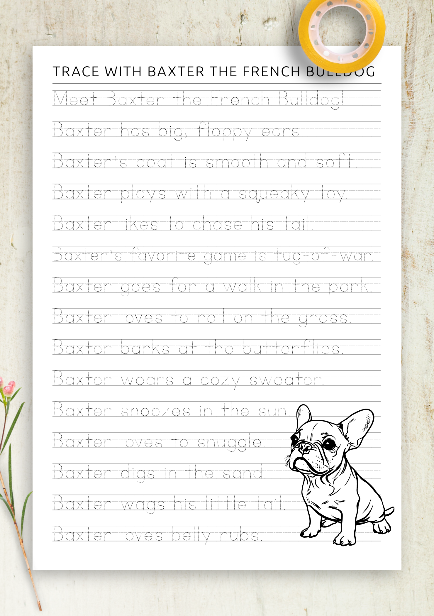 Download Trace & Write with Baxter the French Bulldog Printable PDF