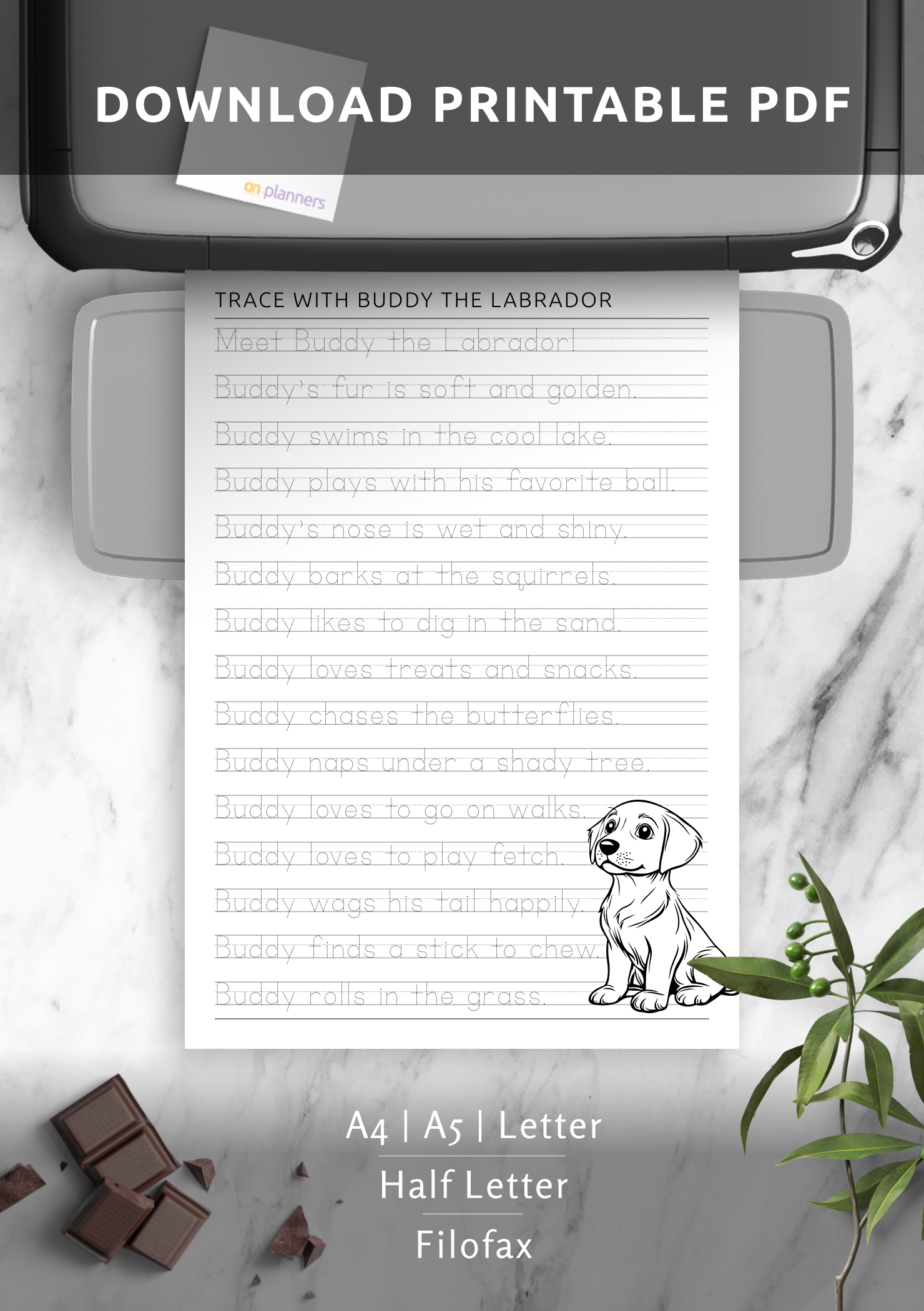 Download Trace & Write with T-Rex Toby Printable PDF