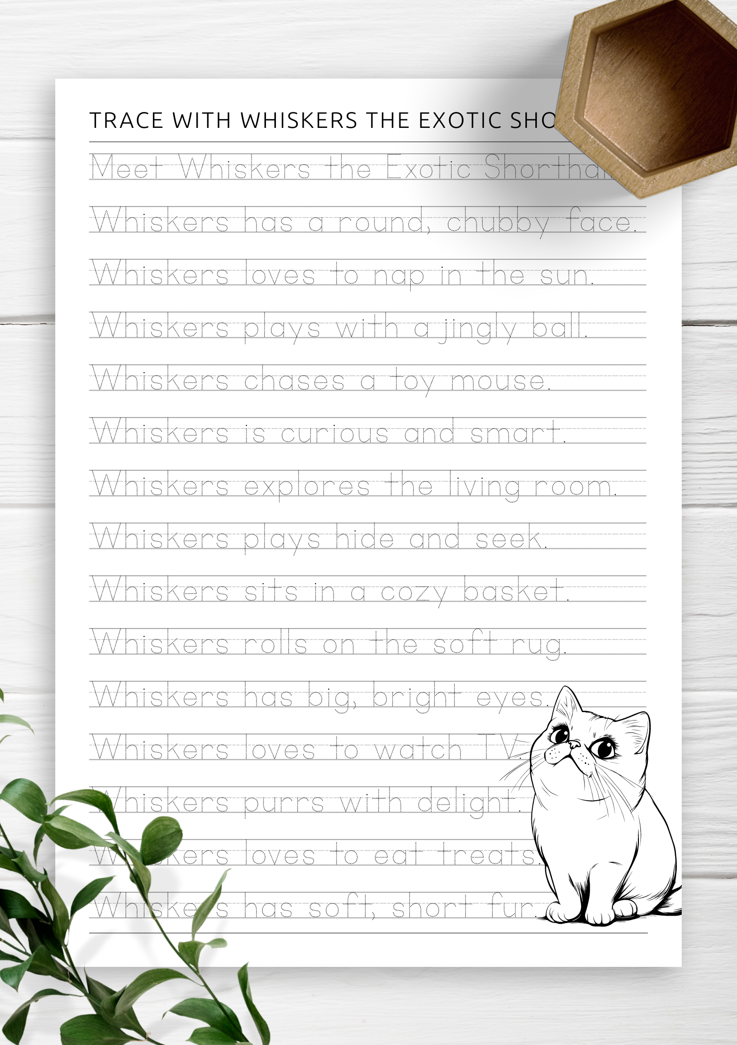 Download Trace & Write with Whiskers the Exotic Shorthair Printable PDF