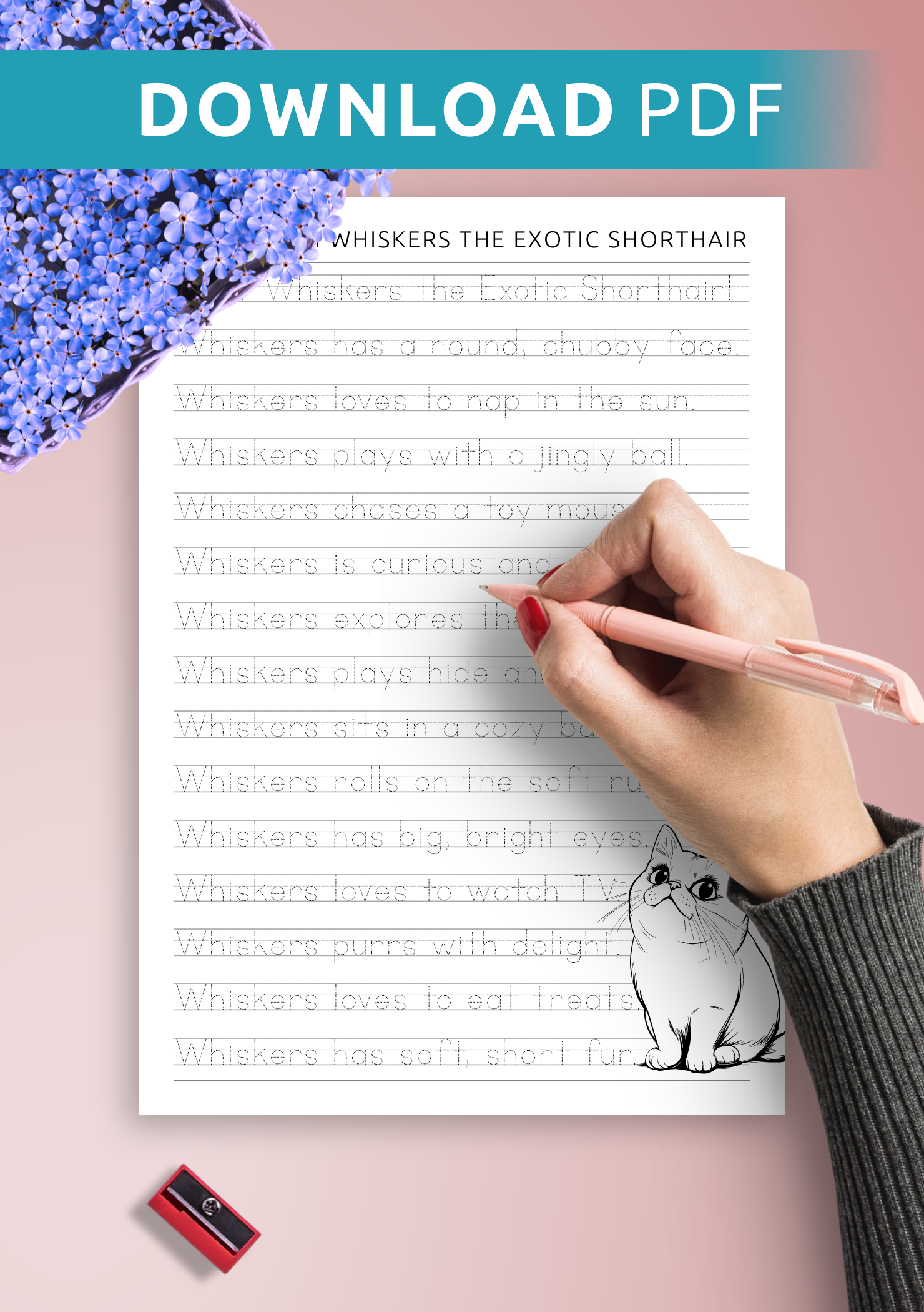 Download Trace & Write with Whiskers the Exotic Shorthair Printable PDF