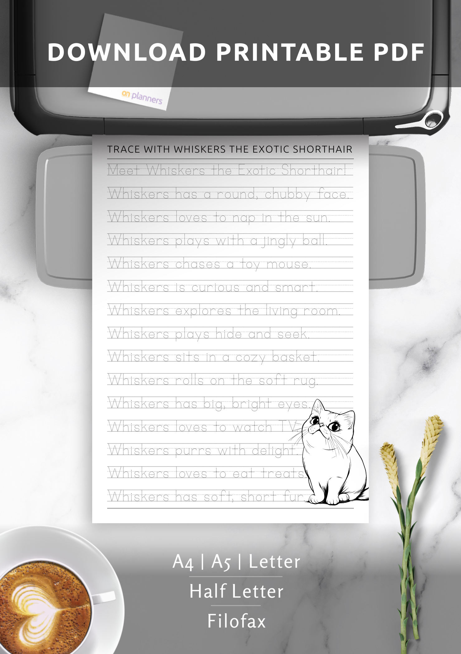 Download Trace & Write with Whiskers the Exotic Shorthair Printable PDF