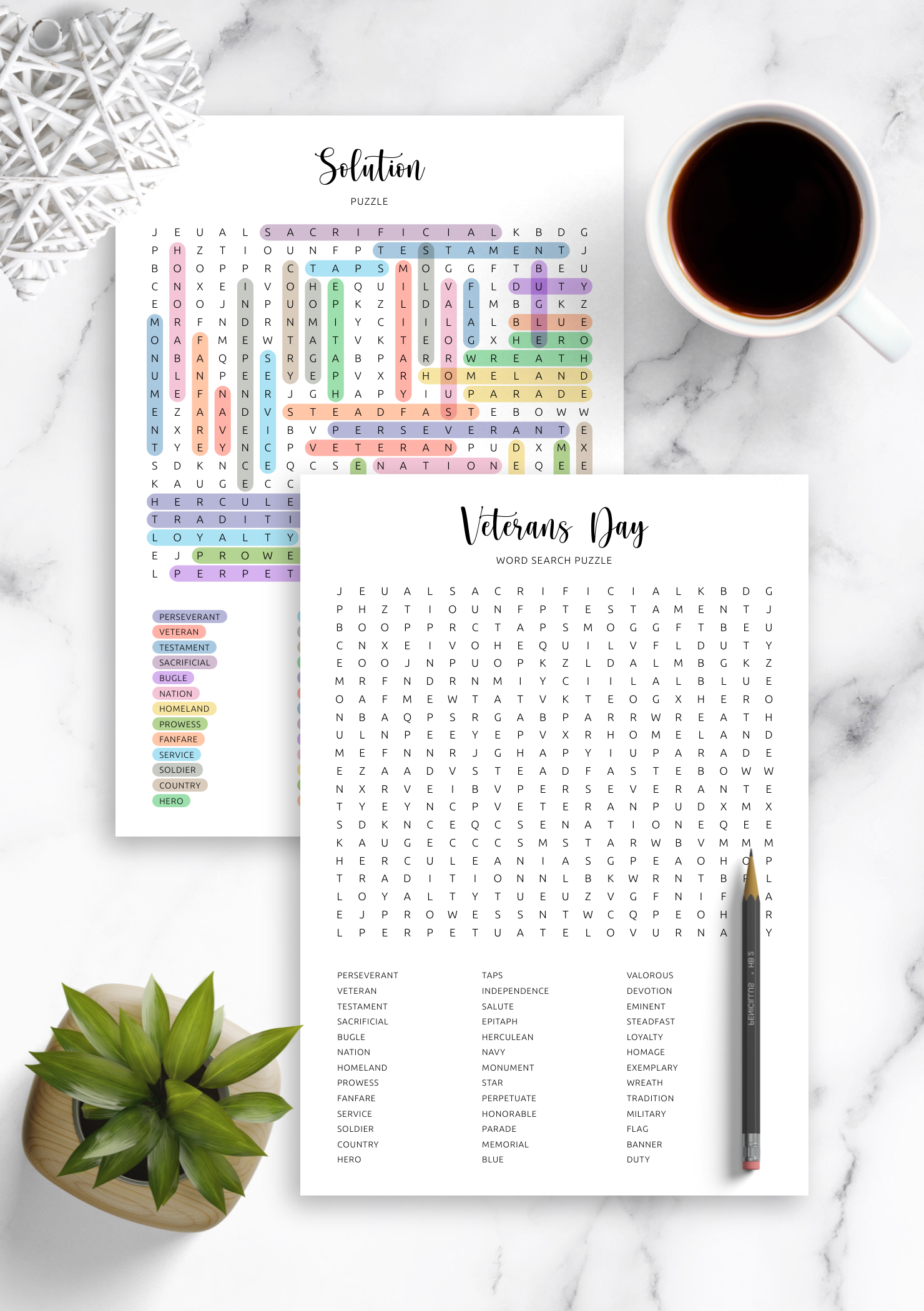 Download Printable Veterans Day Word Search in PDF