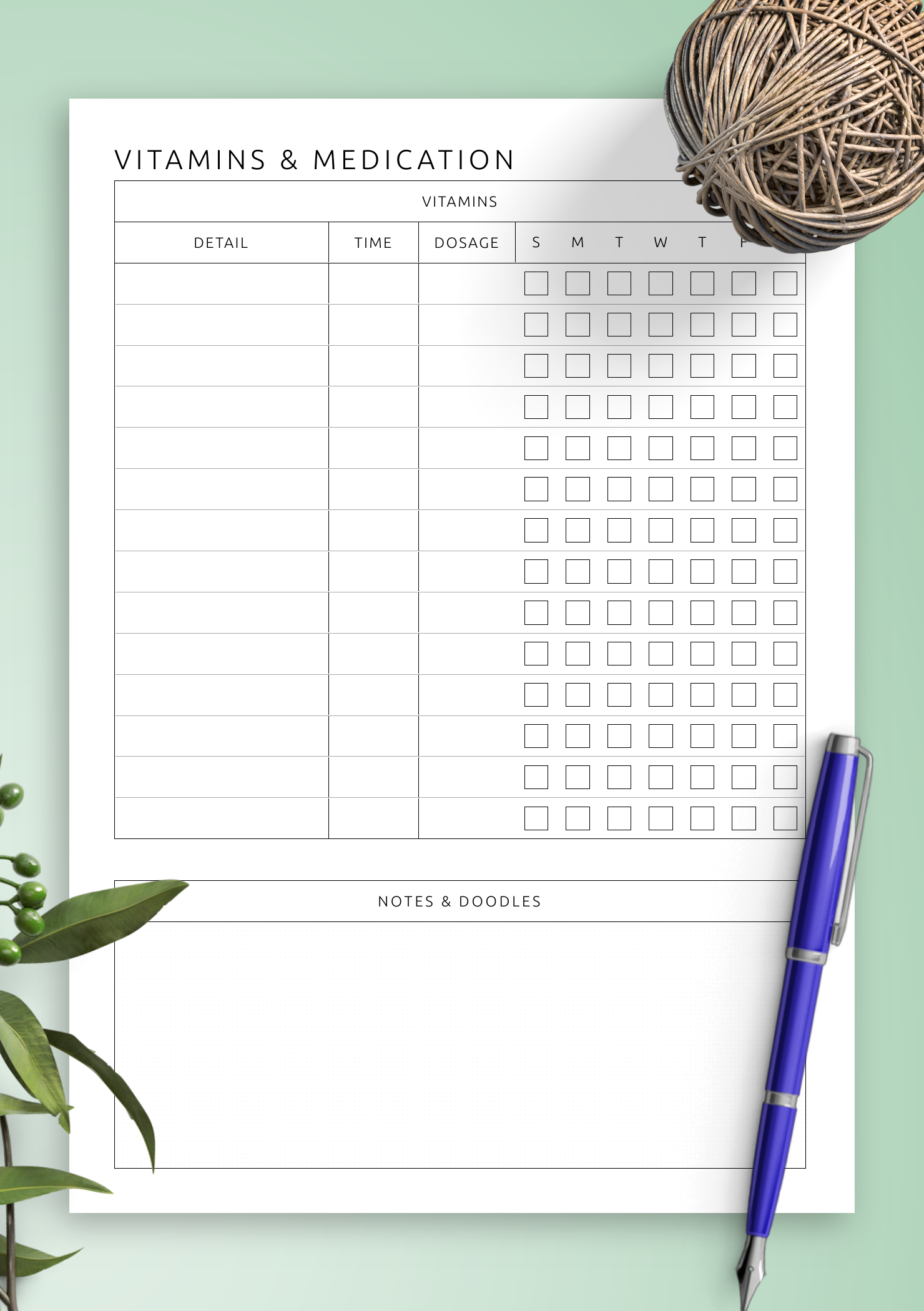 Download Printable Vitamins & Medication Template PDF