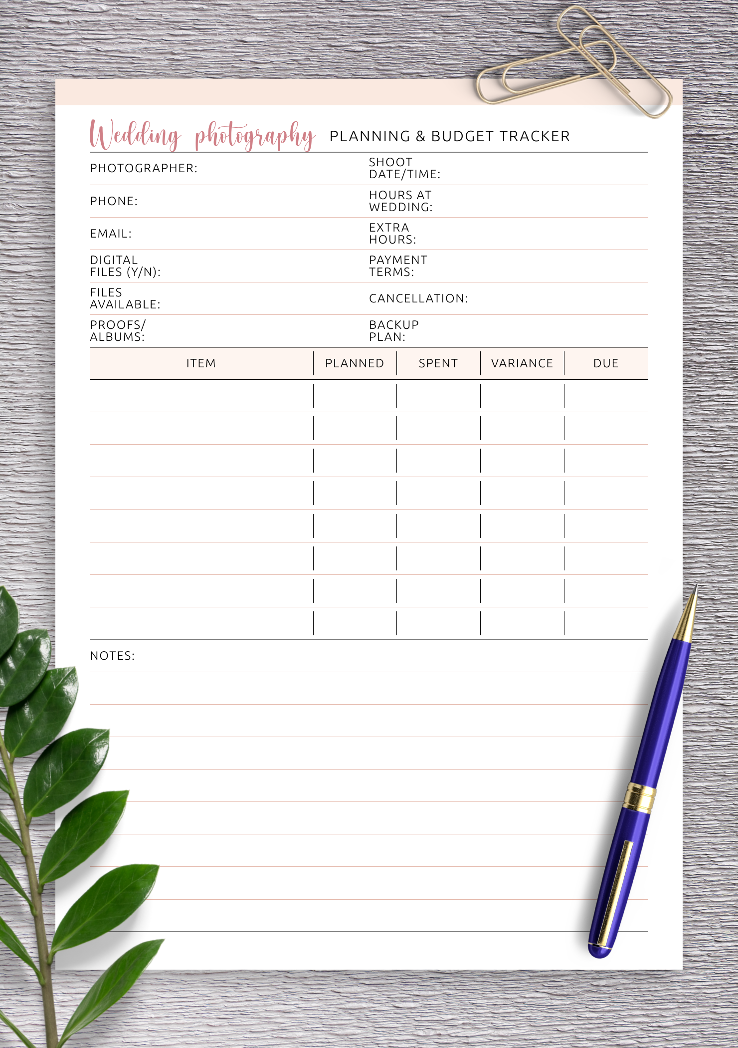 Download Printable Wedding Photography Planning & Budget Tracker PDF