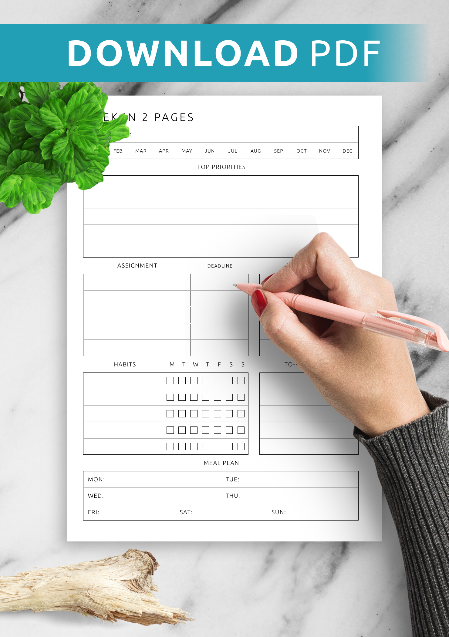 Download Printable Week in 2 Pages Extended Template - Minimalist Style PDF