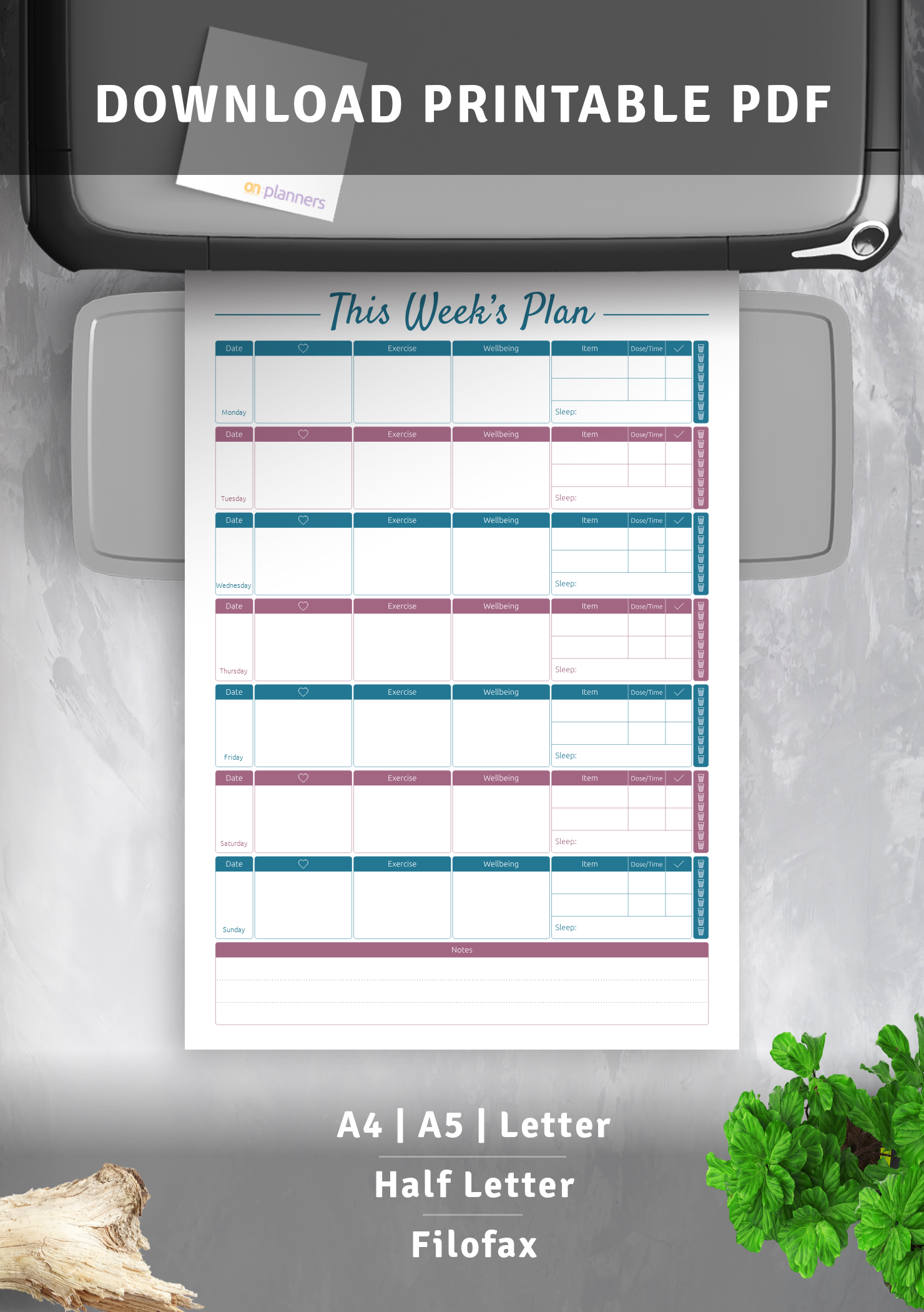 Download Printable Weekly fitness and meal template PDF